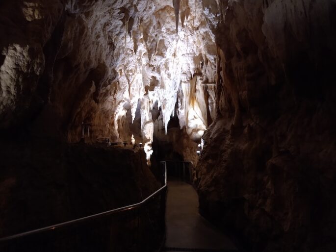 Review: Glowworm Waitomo & Ruakuri Cave Tour From Auckland, New Zealand ...